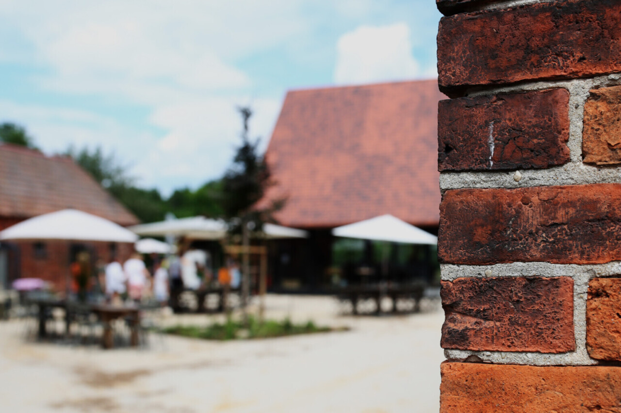 Michelberger Farm | Netzwerk Zukunftsorte